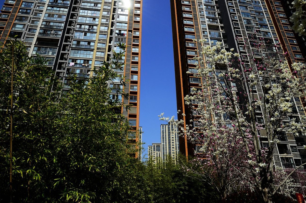 花卉系列【5184】-中关村在线摄影论坛