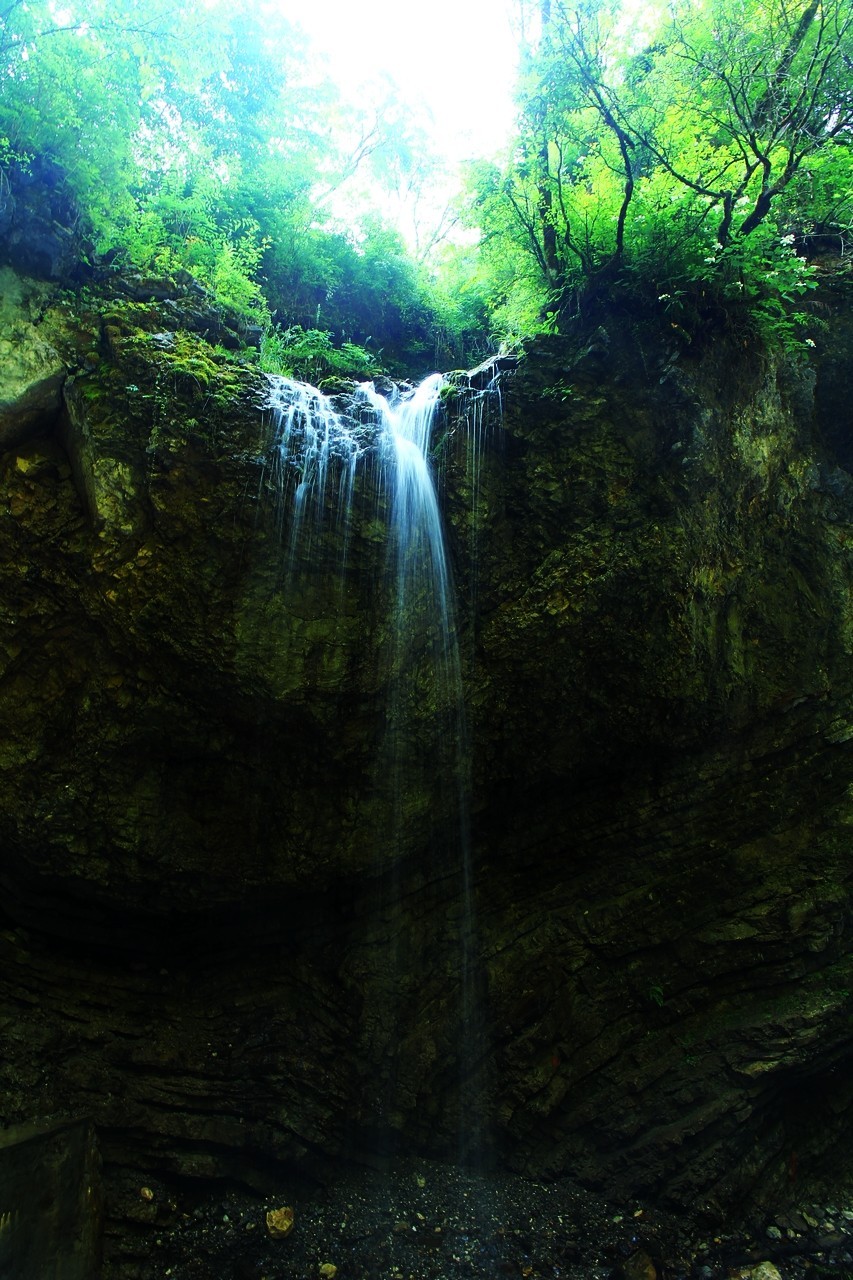 15-85配老60D成像非常不错的！-中关村在线摄影论坛