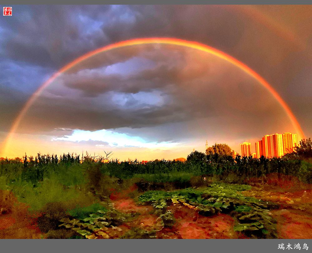 【手机随拍】雨后呈现美丽的彩虹-中关村在线摄影论坛