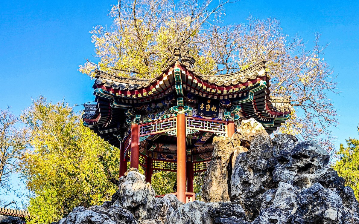 手机游拍20241105《13》-中关村在线摄影论坛