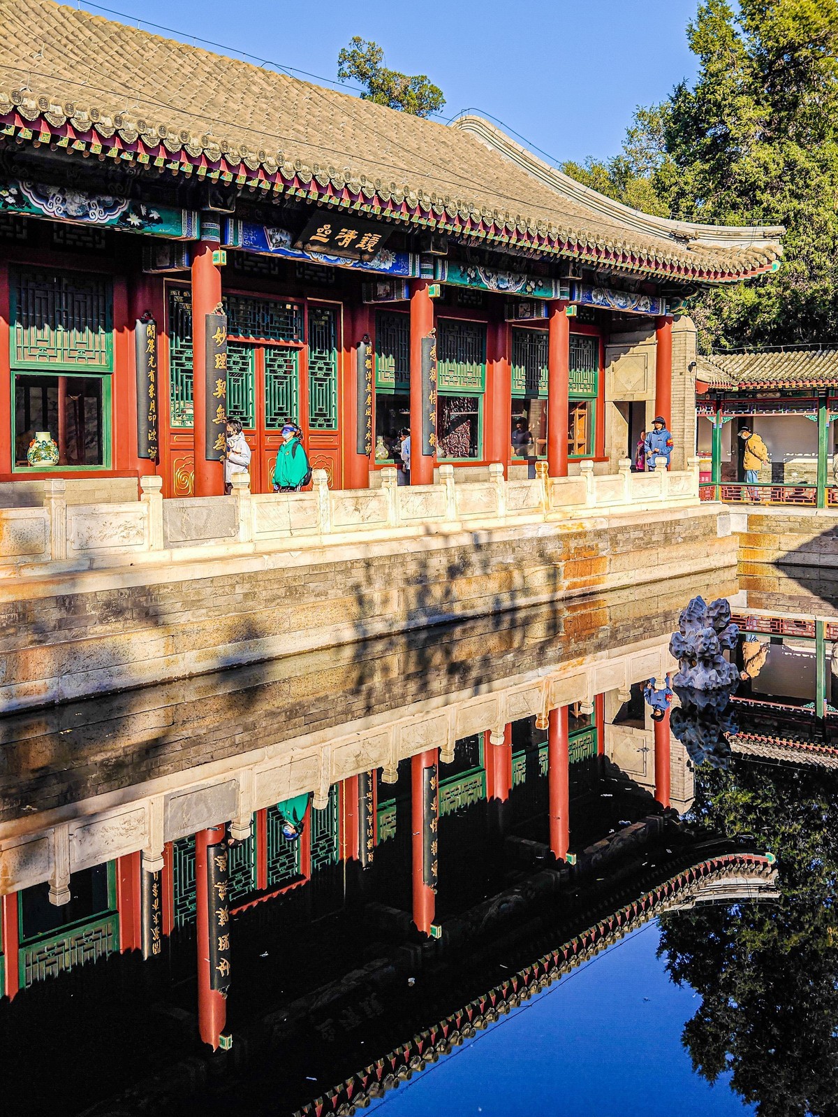 手机游拍20241105《13》-中关村在线摄影论坛