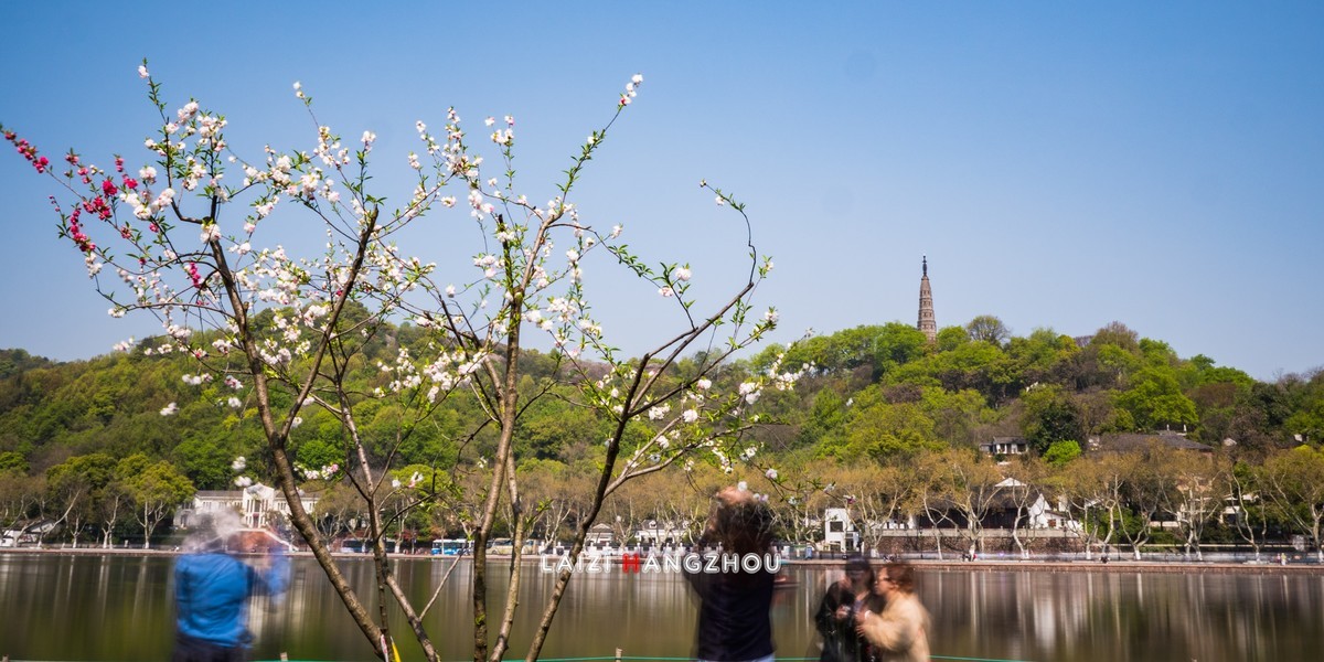 春意阑珊（6）-中关村在线摄影论坛