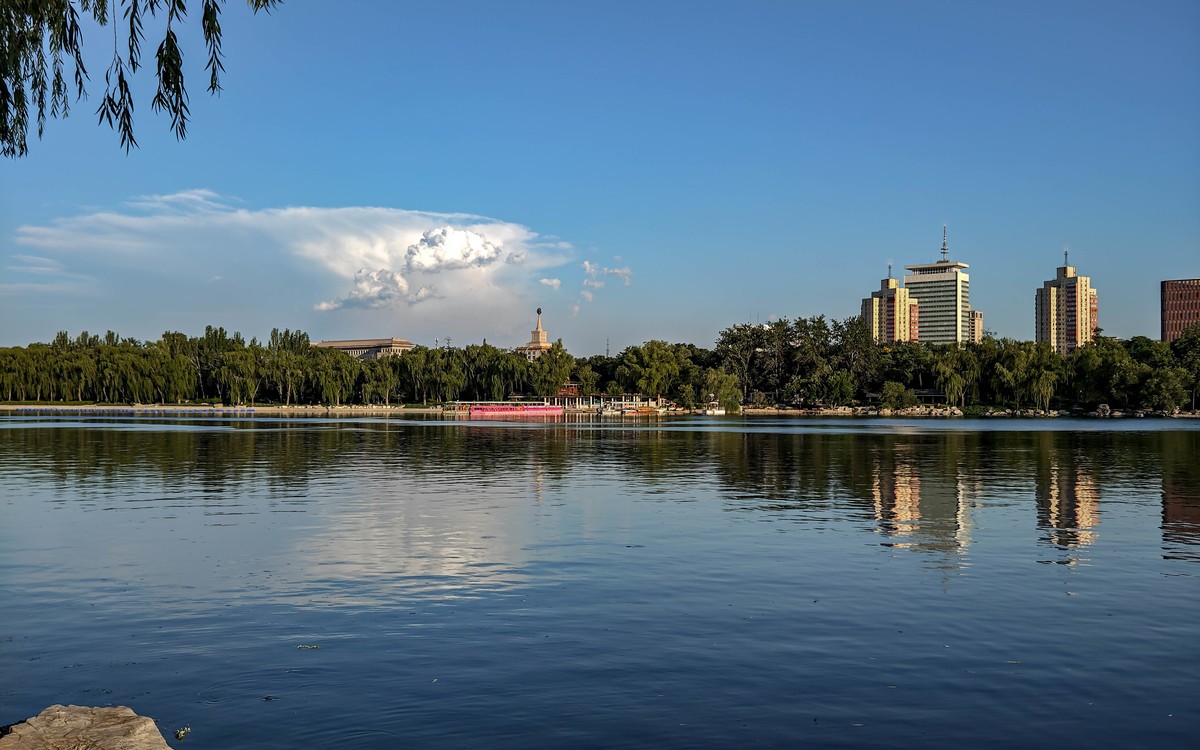 手机随拍20230620《59》-中关村在线摄影论坛