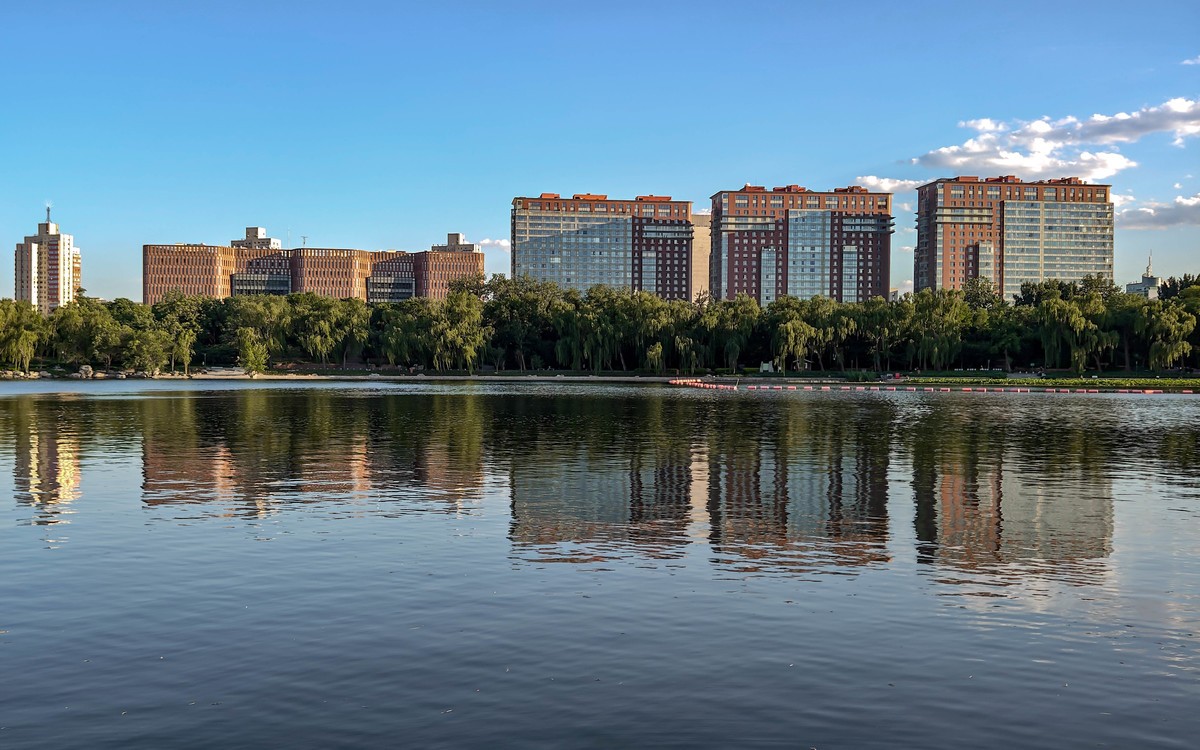 手机随拍20230620《59》-中关村在线摄影论坛