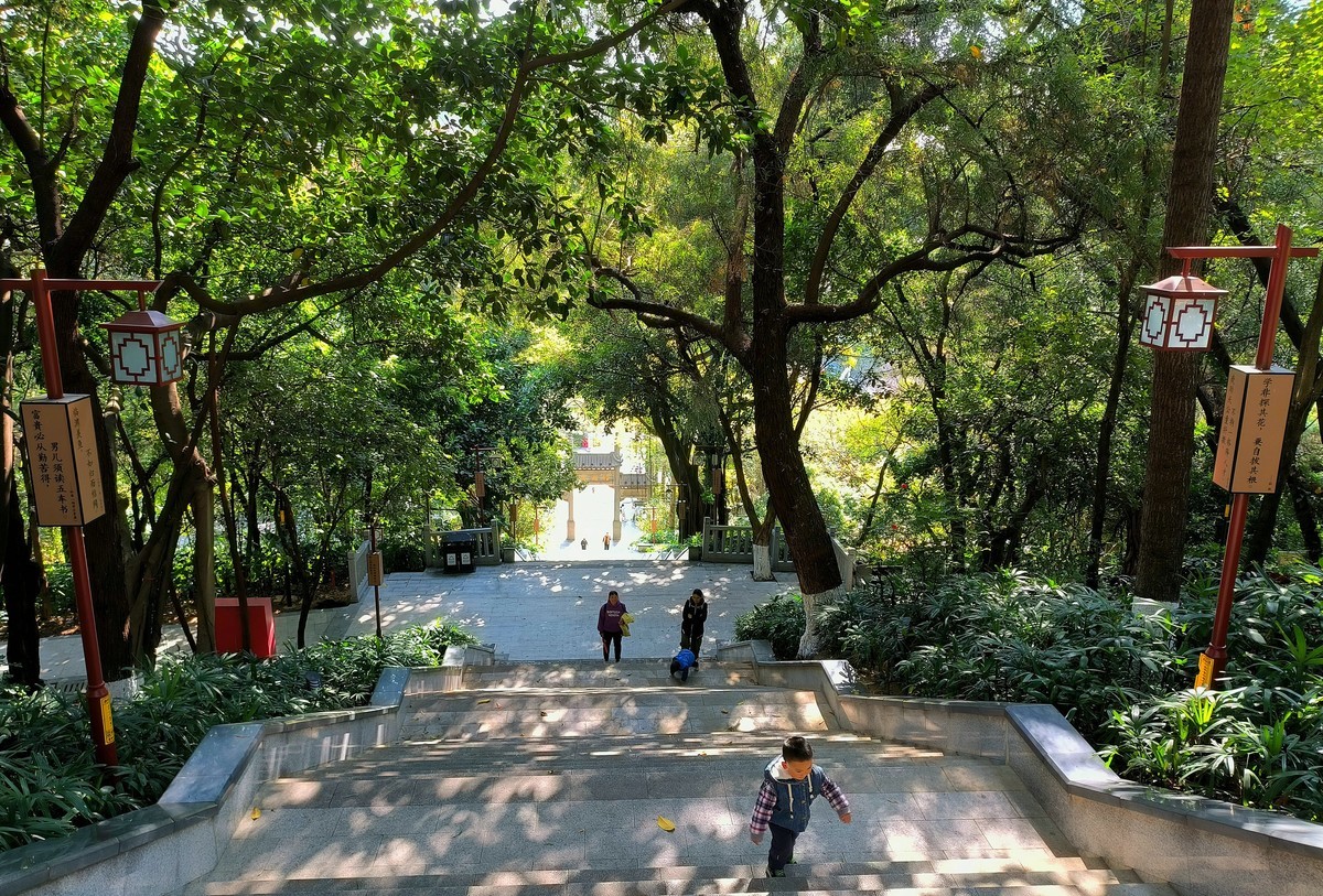 镭岗山。-中关村在线摄影论坛