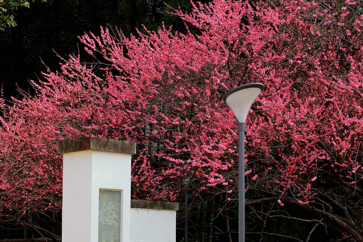 马鞍池公园(2)-中关村在线摄影论坛