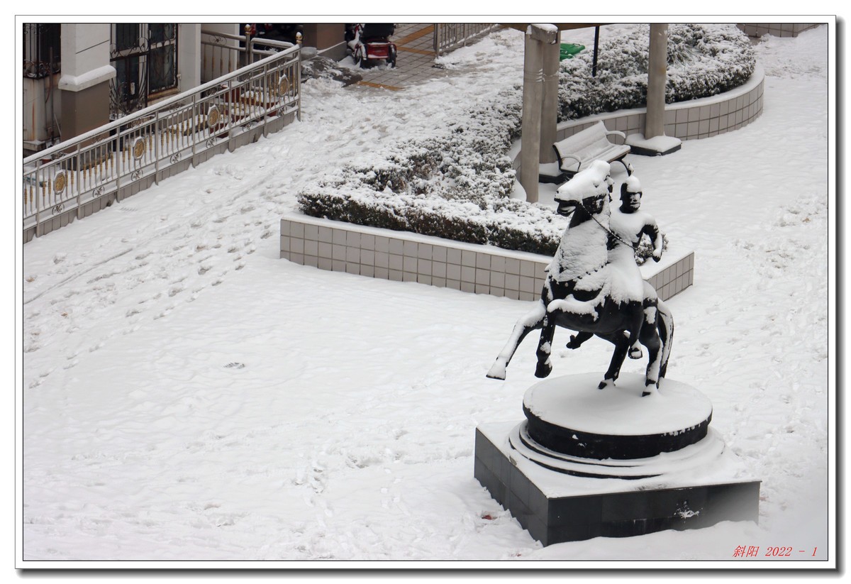 雪中童趣 - 1-中关村在线摄影论坛