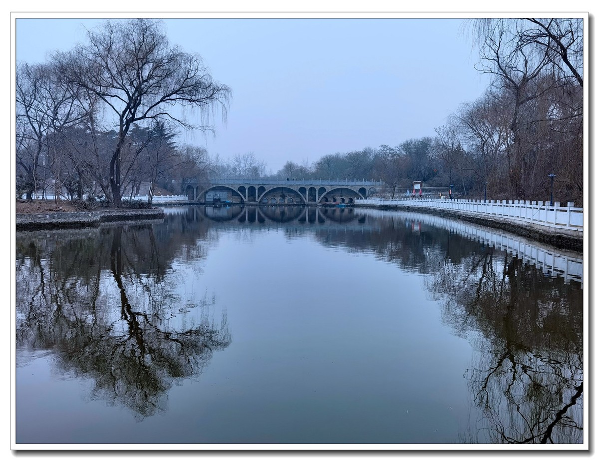 癸卯年正月随拍 6【2023-0158】-中关村在线摄影论坛