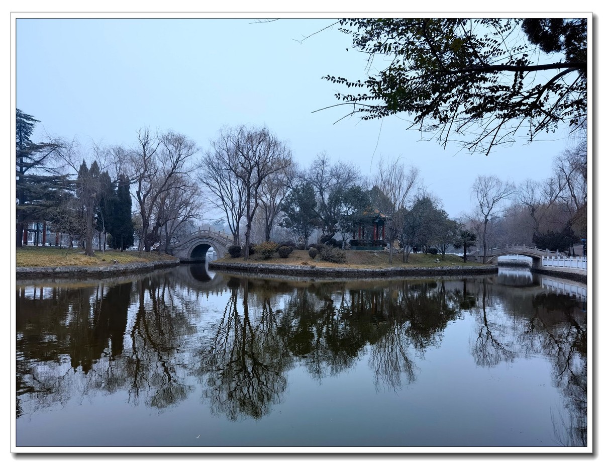 癸卯年正月随拍 6【2023-0158】-中关村在线摄影论坛