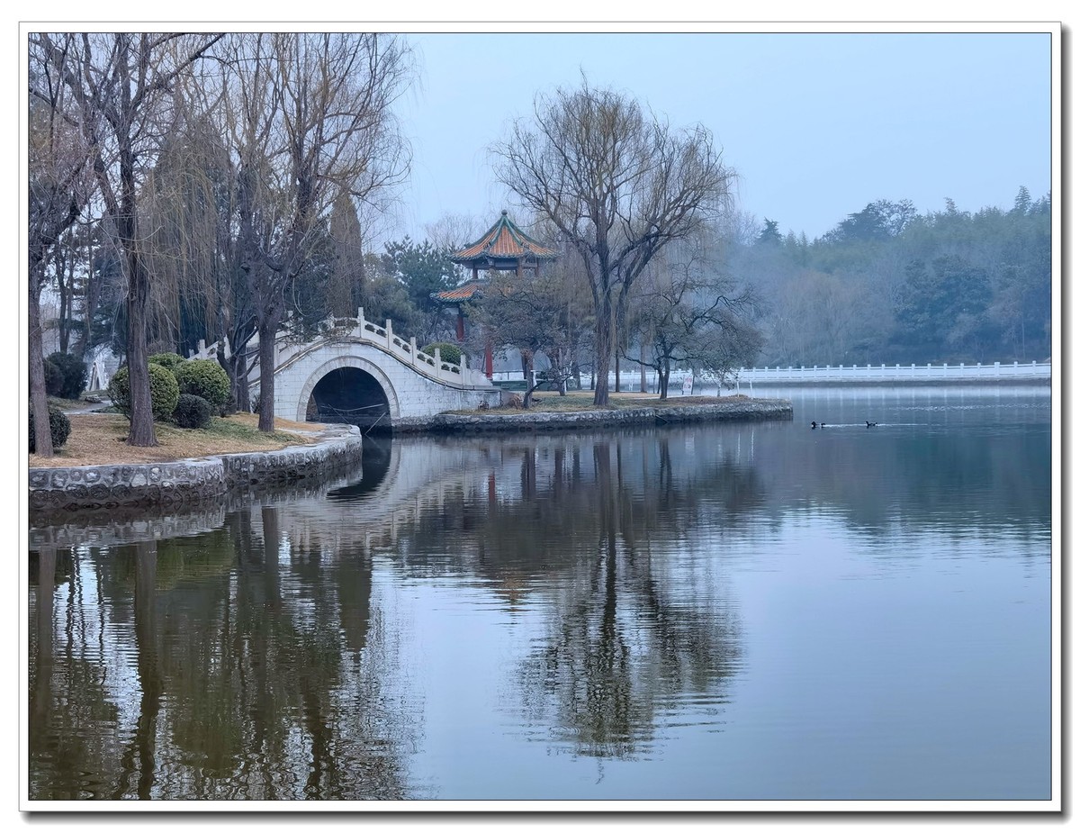 癸卯年正月随拍 6【2023-0158】-中关村在线摄影论坛