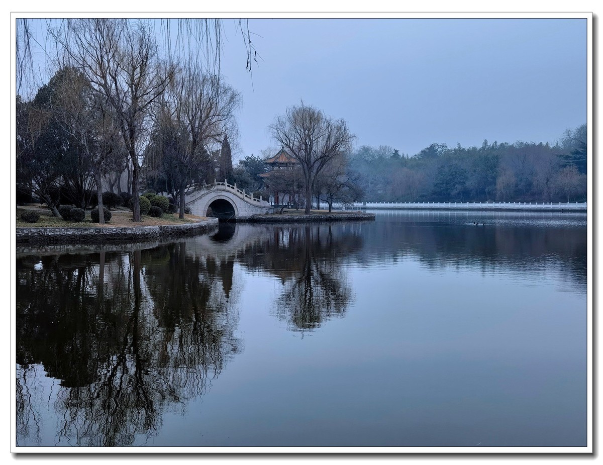 癸卯年正月随拍 6【2023-0158】-中关村在线摄影论坛