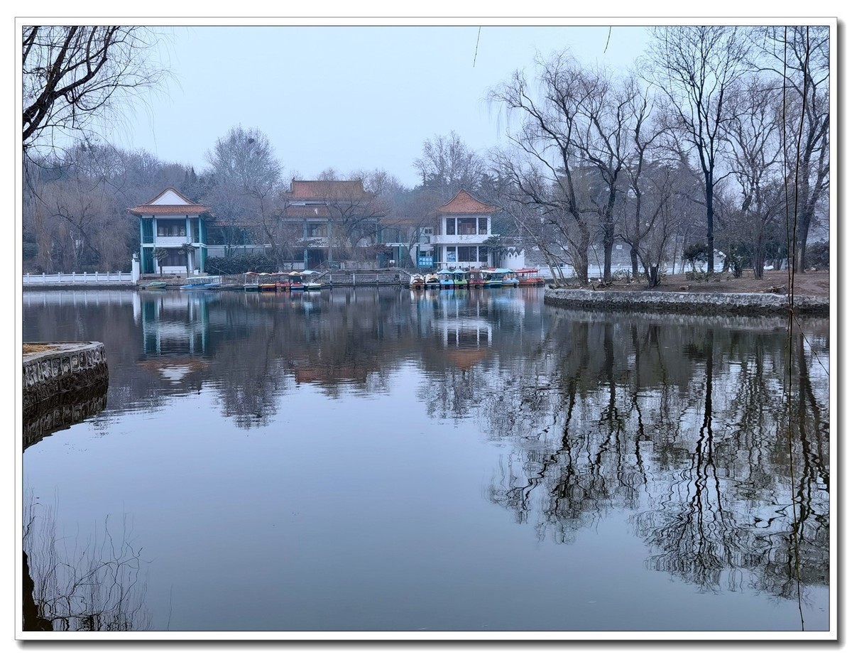 癸卯年正月随拍 6【2023-0158】-中关村在线摄影论坛