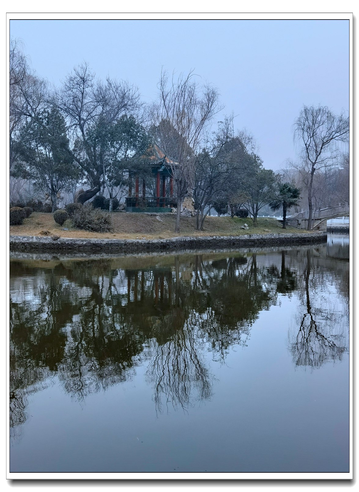 癸卯年正月随拍 6【2023-0158】-中关村在线摄影论坛