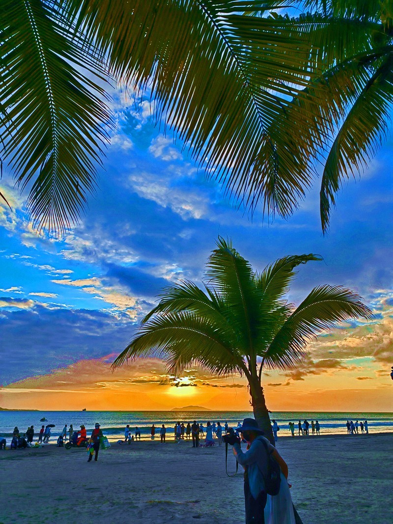 三亚椰梦长廊夕阳美231218(1)-中关村在线摄影论坛