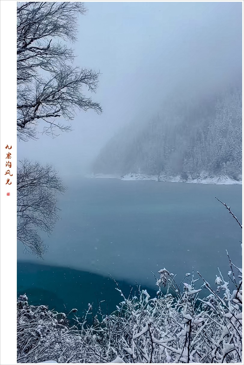 2023年第0261贴-九寨沟纪实抓拍（0418F）-中关村在线摄影论坛