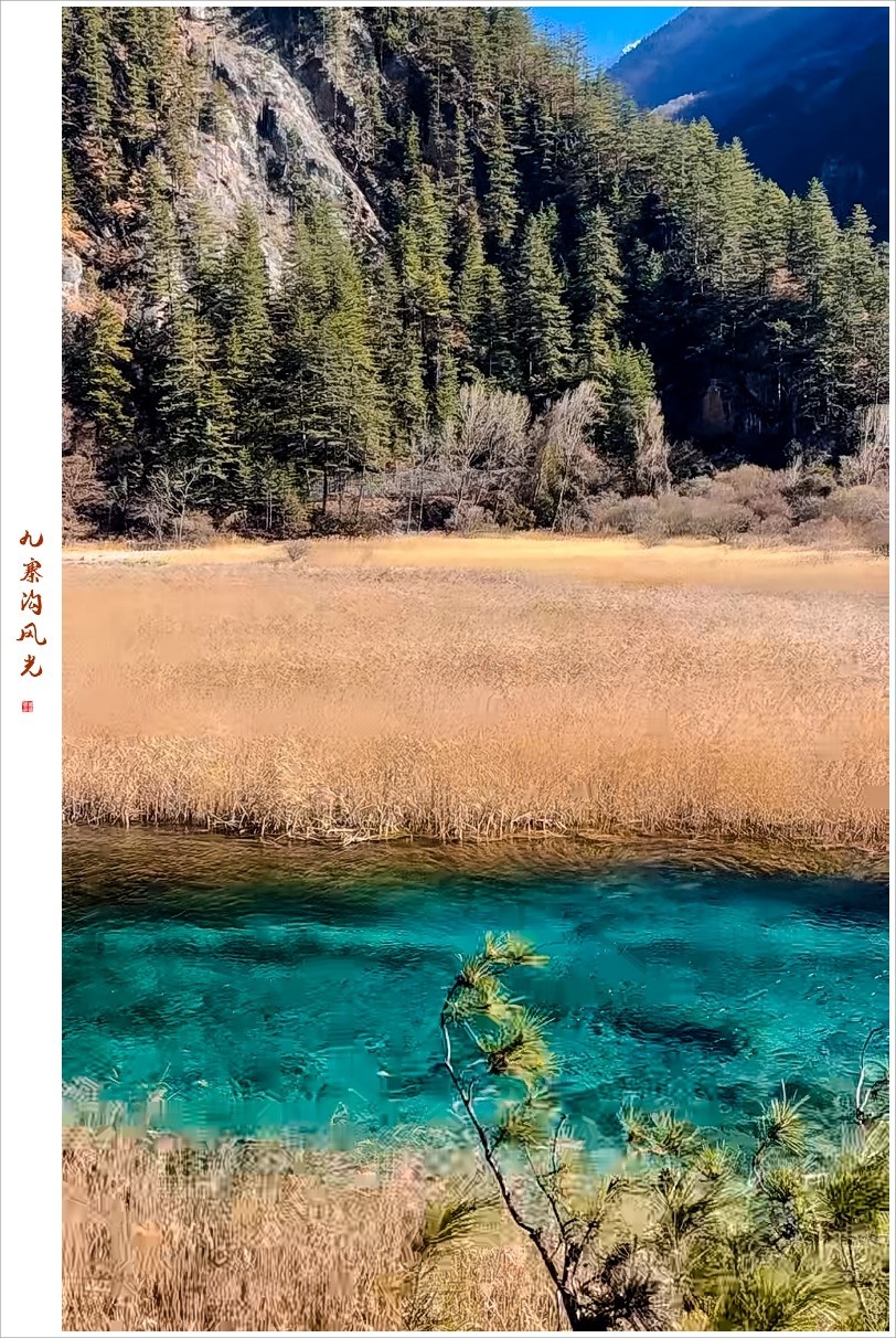 2023年第0186贴-九寨沟风光抓拍集锦（0322F）-中关村在线摄影论坛