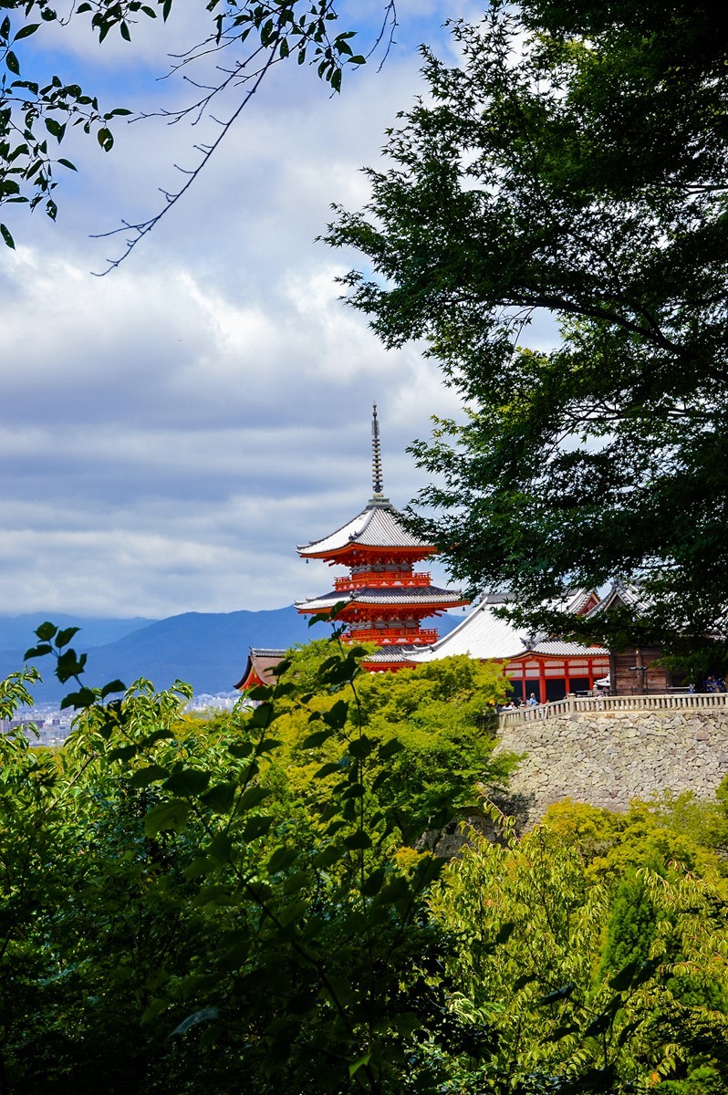 2019年京都奈良游拍-39-中关村在线摄影论坛