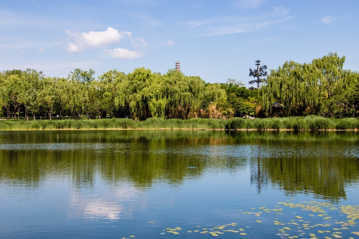 【镜头里】第1546号：北京北坞公园的秀美风光（二）-中关村在线摄影论坛