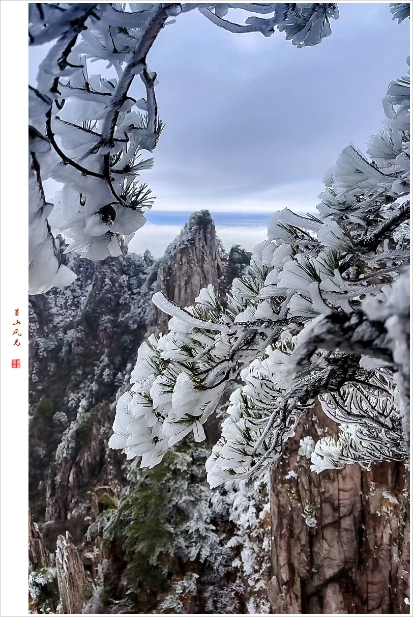 2024年第0220贴-黄山风光纪实抓拍（0323）-中关村在线摄影论坛