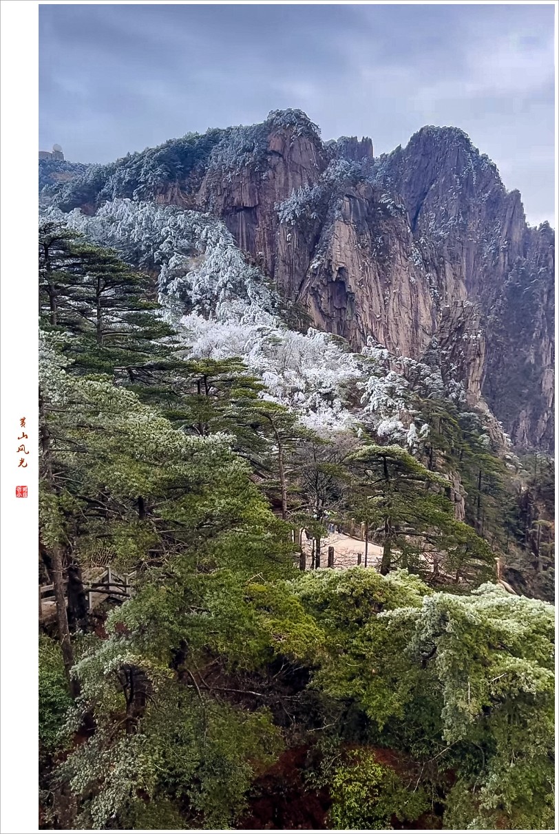 2024年第0221贴-黄山风光纪实抓拍（0323）-中关村在线摄影论坛