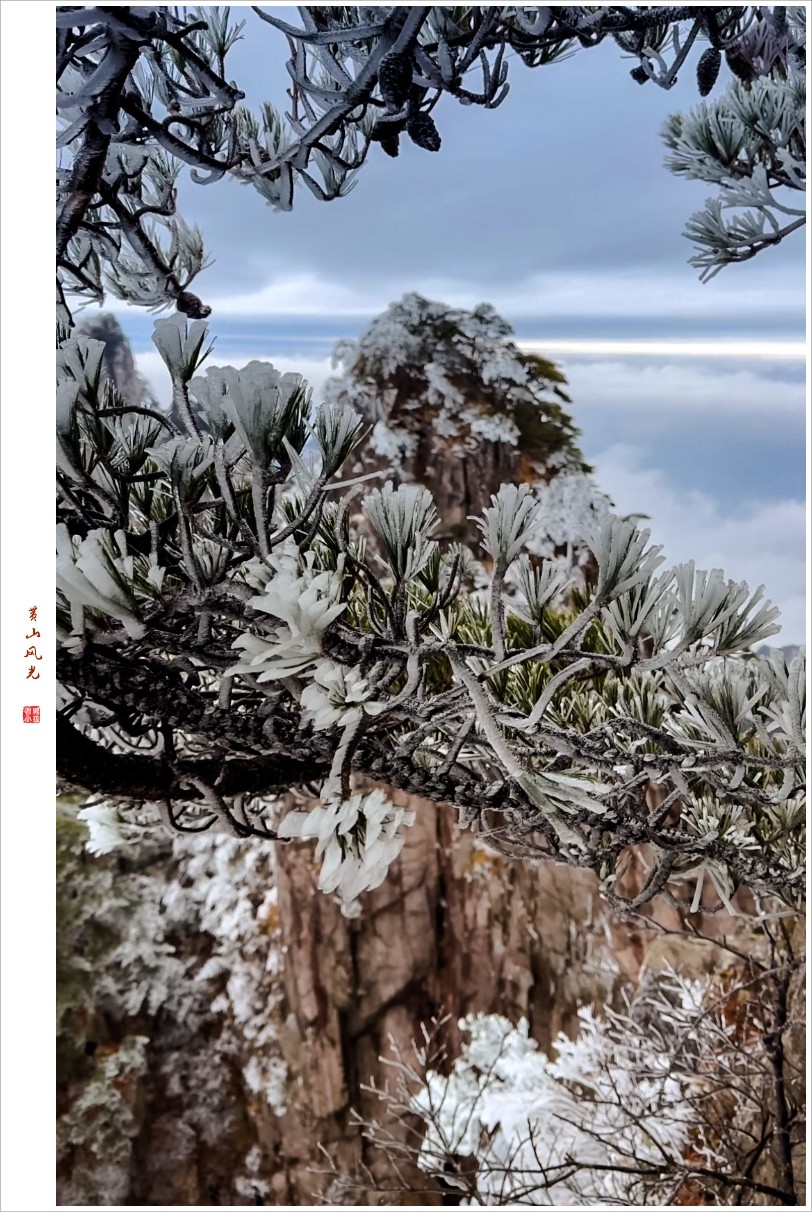 2024年第0222贴-黄山风光纪实抓拍（0323）-中关村在线摄影论坛