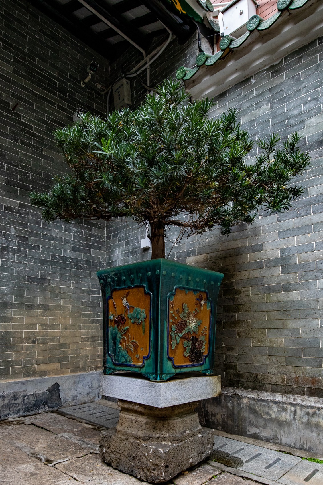 怀圣寺（1）-中关村在线摄影论坛