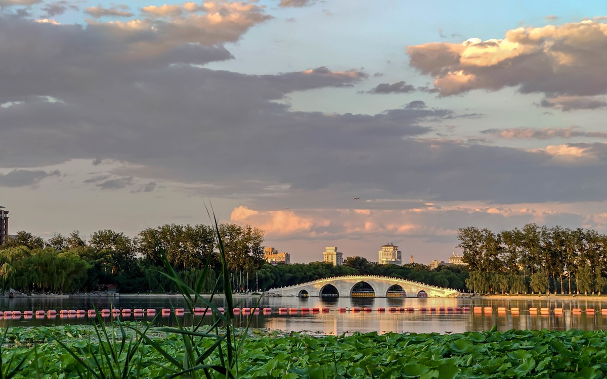 手机随拍20230620《82》-中关村在线摄影论坛