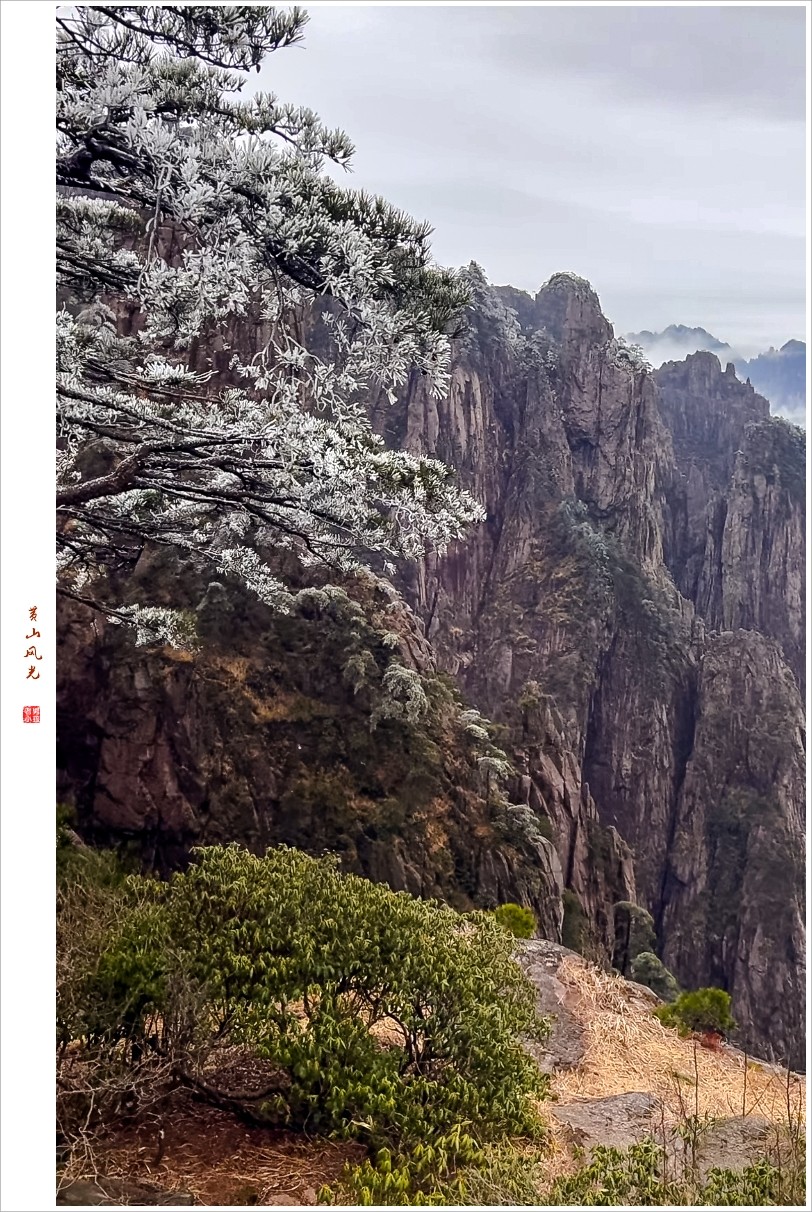 2024年第0220贴-黄山风光纪实抓拍（0323）-中关村在线摄影论坛