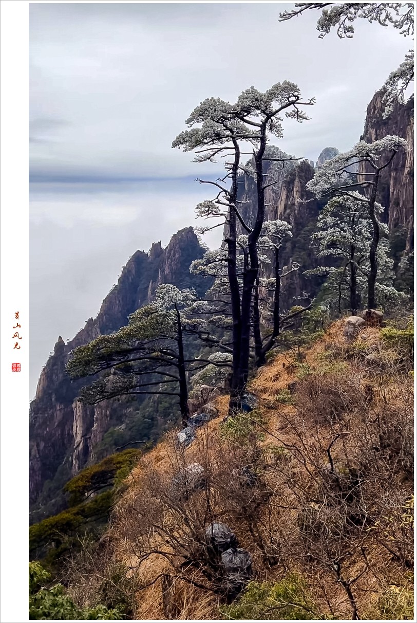 2024年第0220贴-黄山风光纪实抓拍（0323）-中关村在线摄影论坛