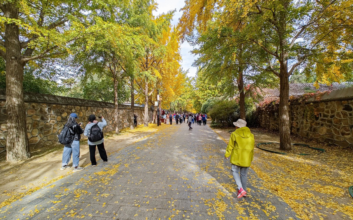 手机随拍20231103《142》-中关村在线摄影论坛