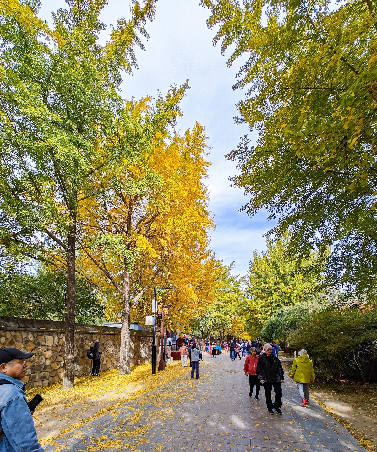 手机随拍20231103《142》-中关村在线摄影论坛