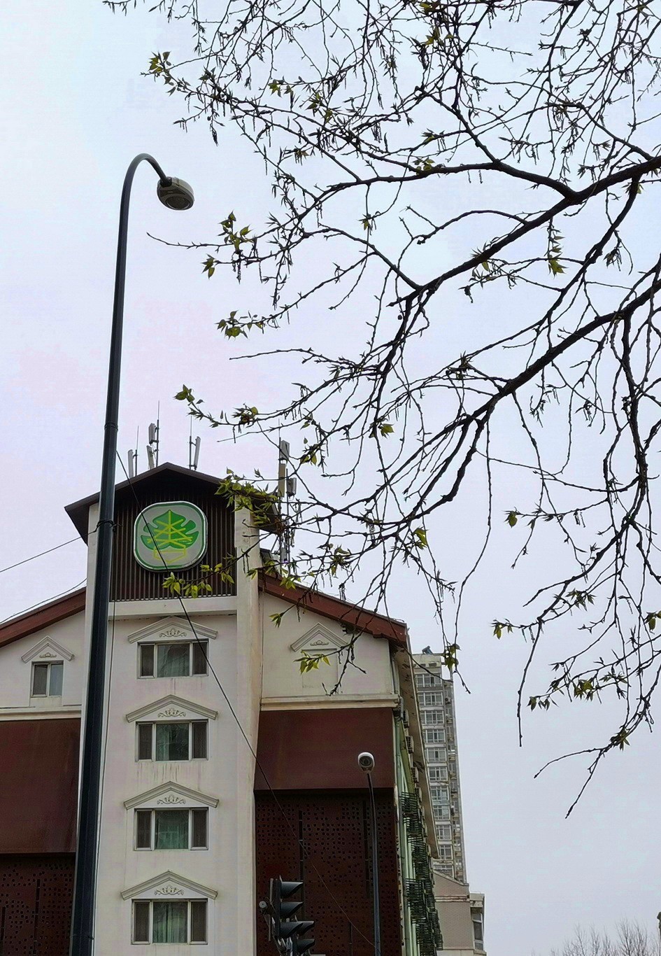 4月下旬 哈尔滨路边 院内-中关村在线摄影论坛