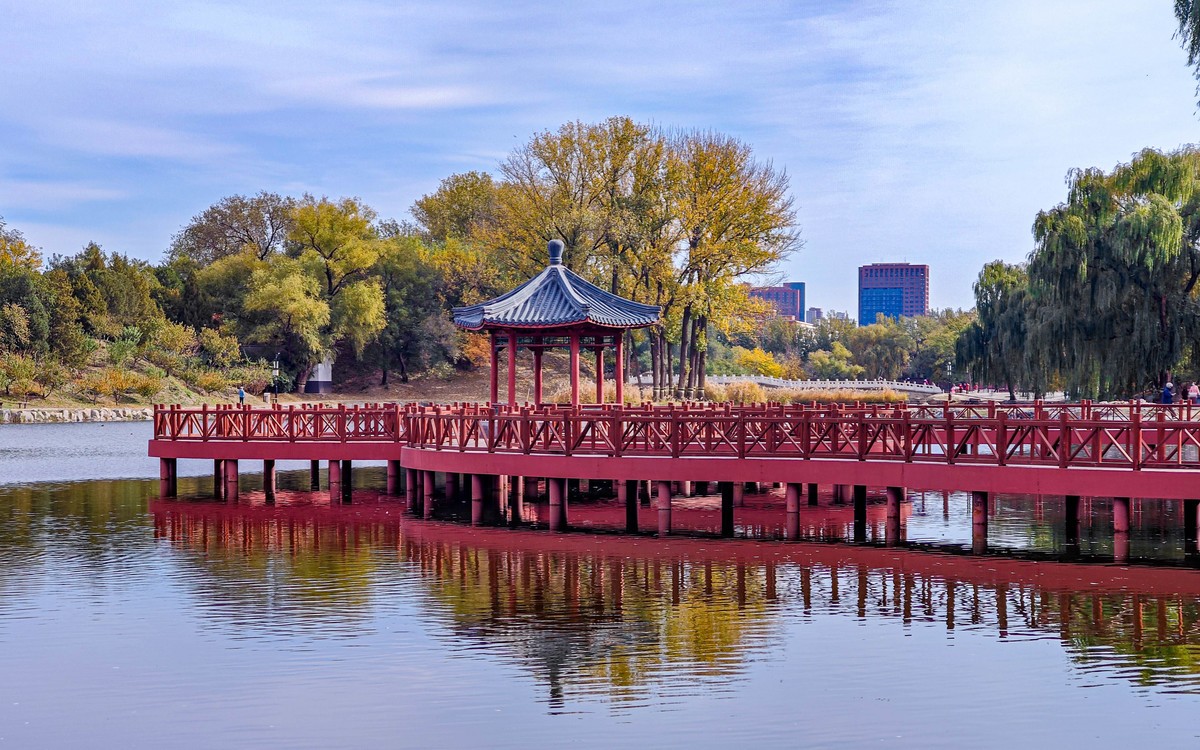 手机随拍20231103《142》-中关村在线摄影论坛