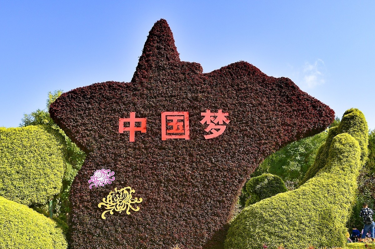 兰州菊展-中关村在线摄影论坛