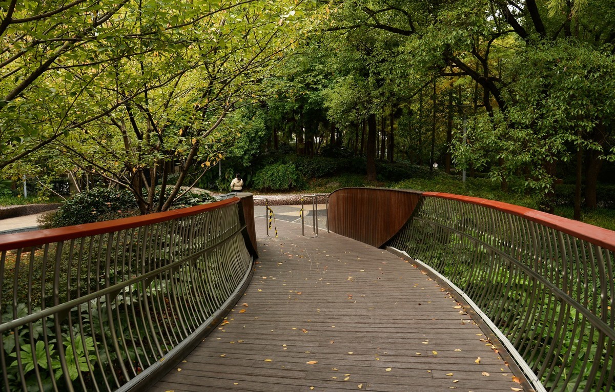 【高清图】蛇头？蛇尾？-中关村在线摄影论坛