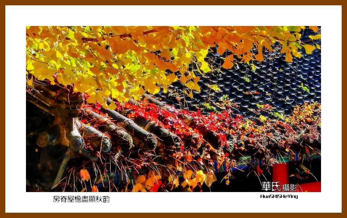 我爱家乡—房脊屋檐尽显秋韵（辽宁鞍山千山风景区龙泉寺）-中关村在线摄影论坛