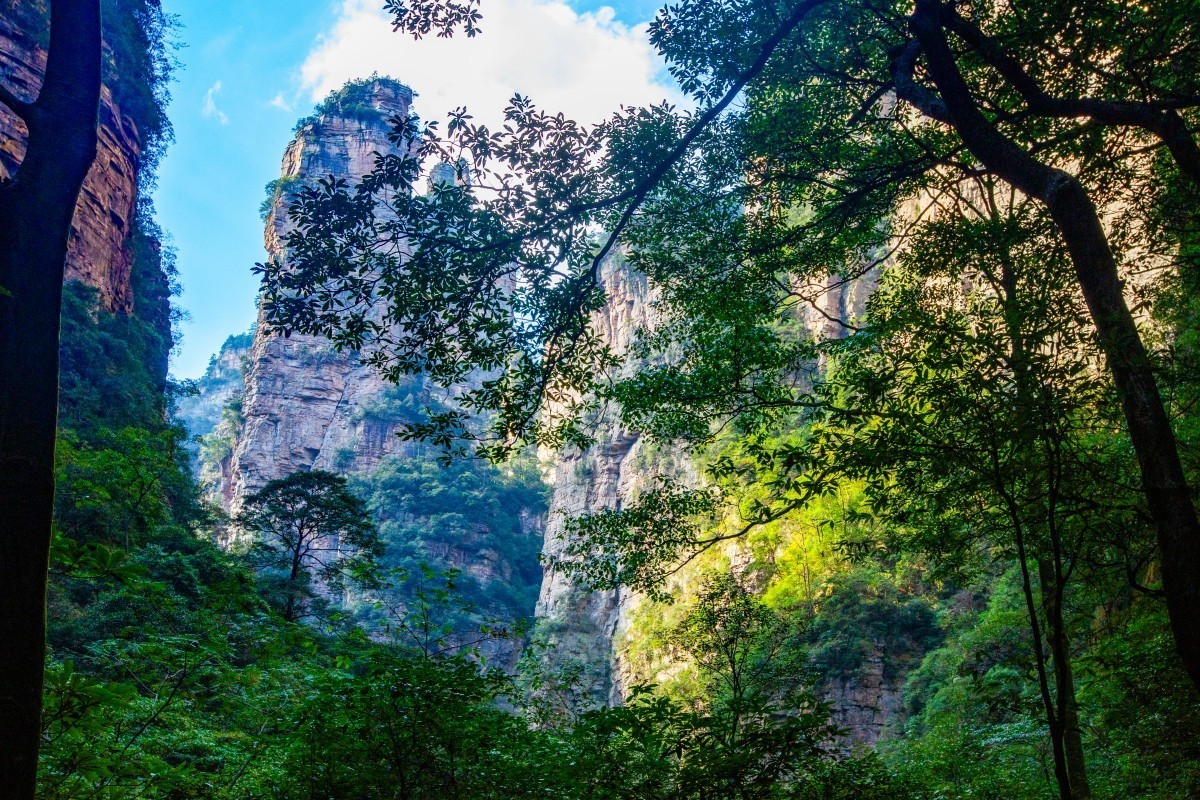 张家界游拍 123-中关村在线摄影论坛