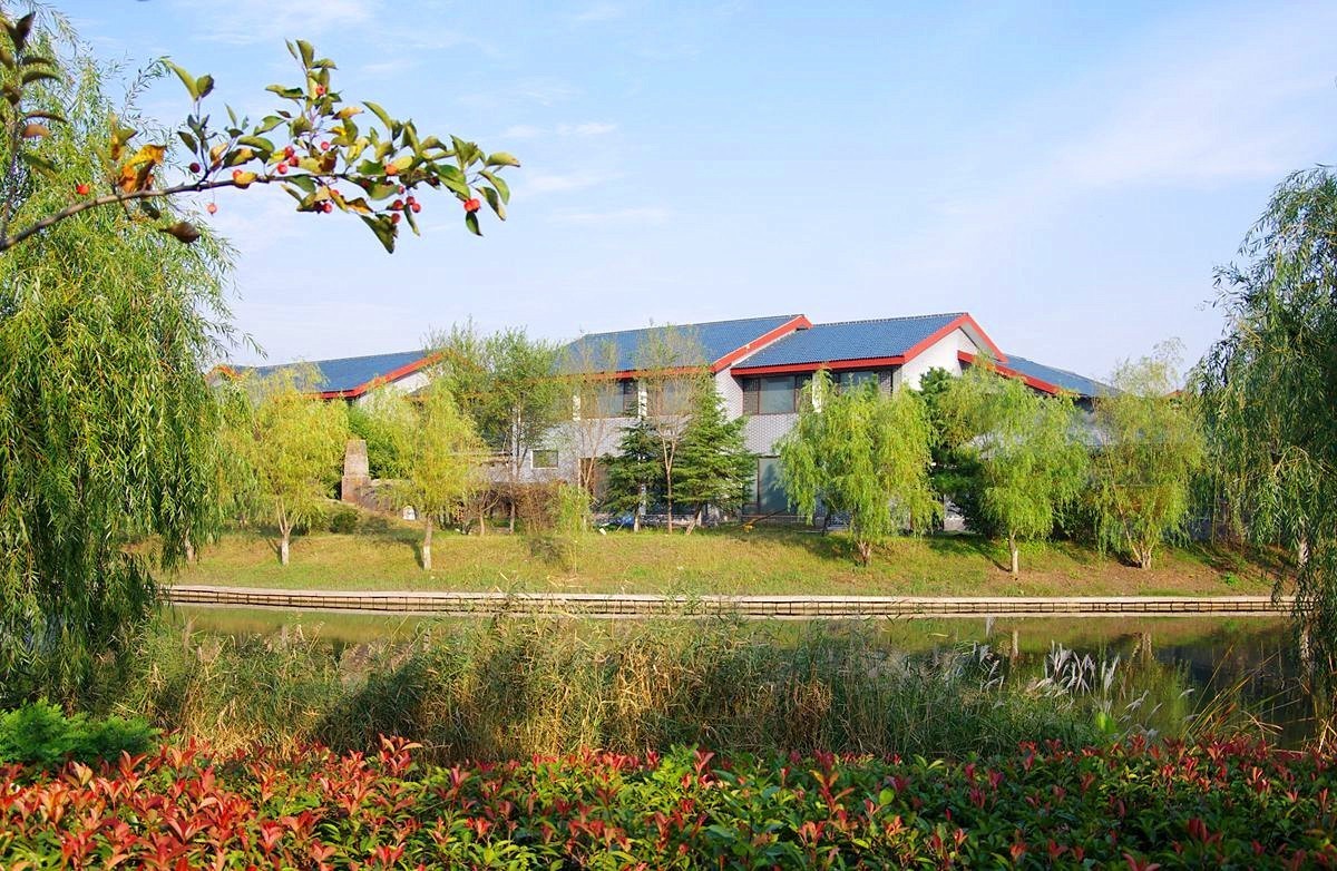 公园杂拍-15P-中关村在线摄影论坛