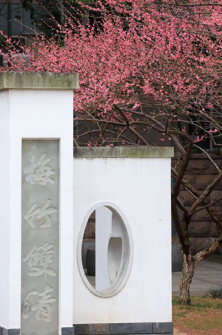 马鞍池公园-中关村在线摄影论坛