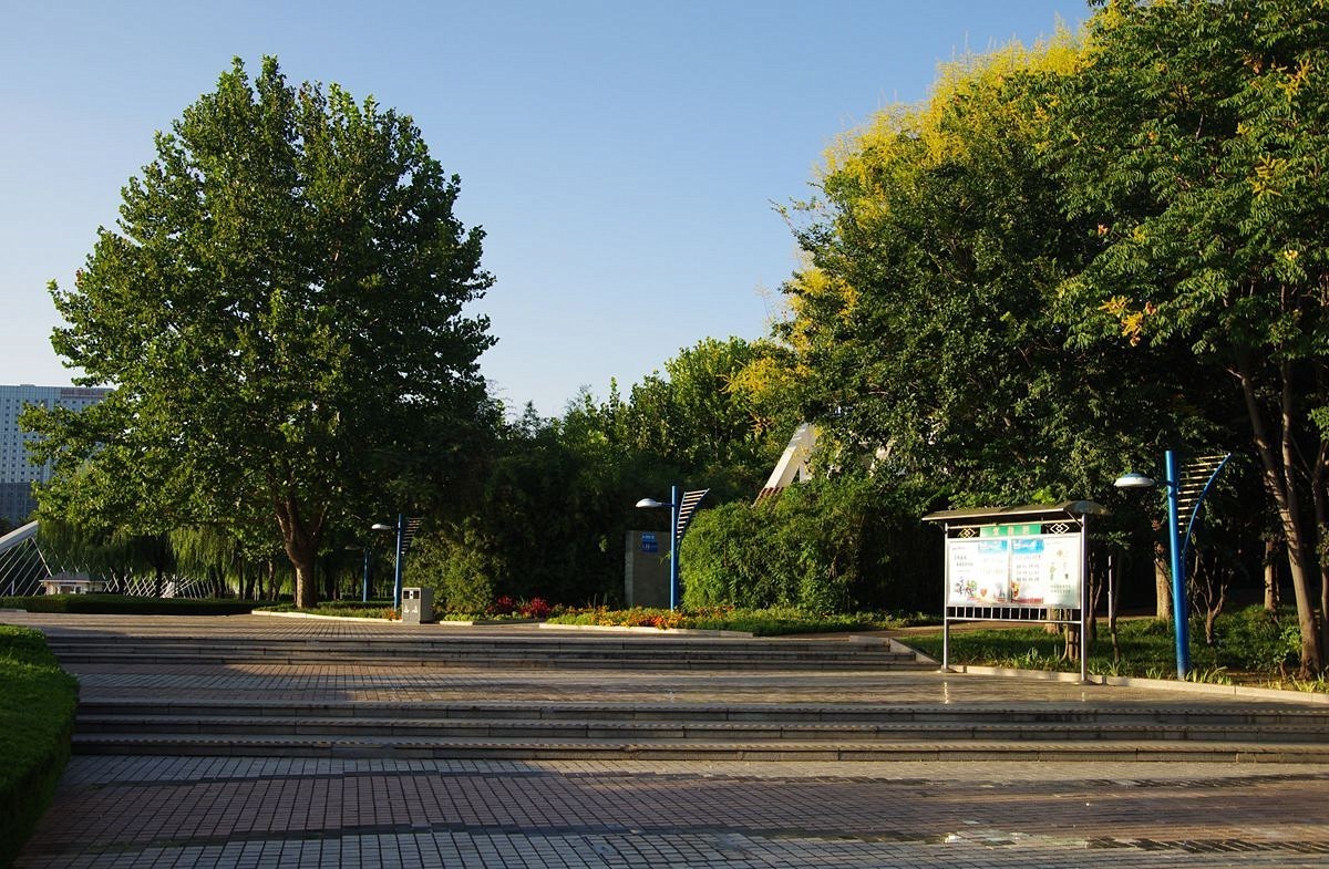 公园掠影--15P-中关村在线摄影论坛