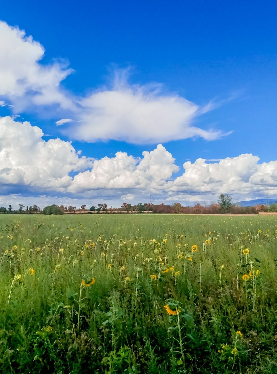 田园秋影（南德）-中关村在线摄影论坛