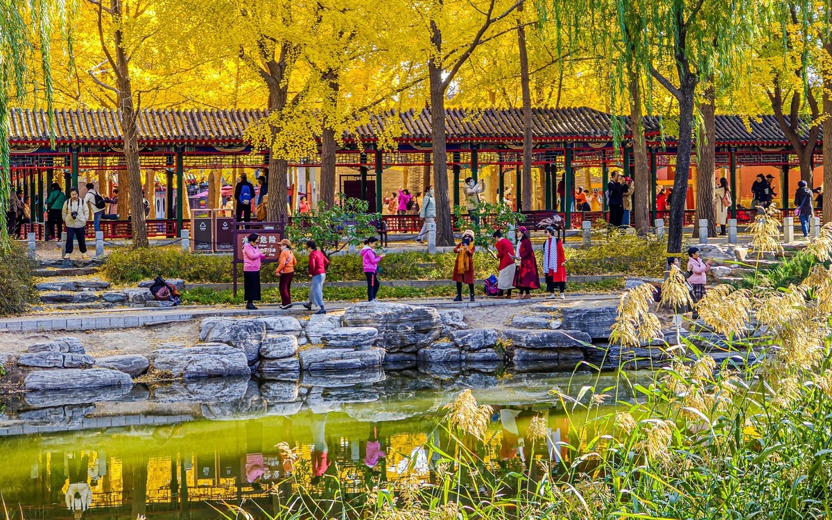 手机游拍20241105《16》-中关村在线摄影论坛