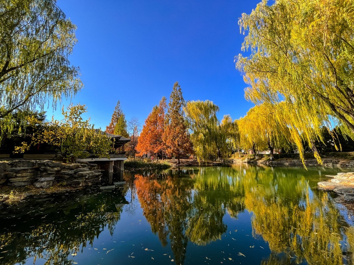 2023年-北海公园风光纪实抓拍-782-中关村在线摄影论坛
