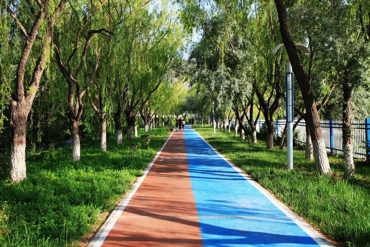 遛弯、按快门与快乐同步！-中关村在线摄影论坛