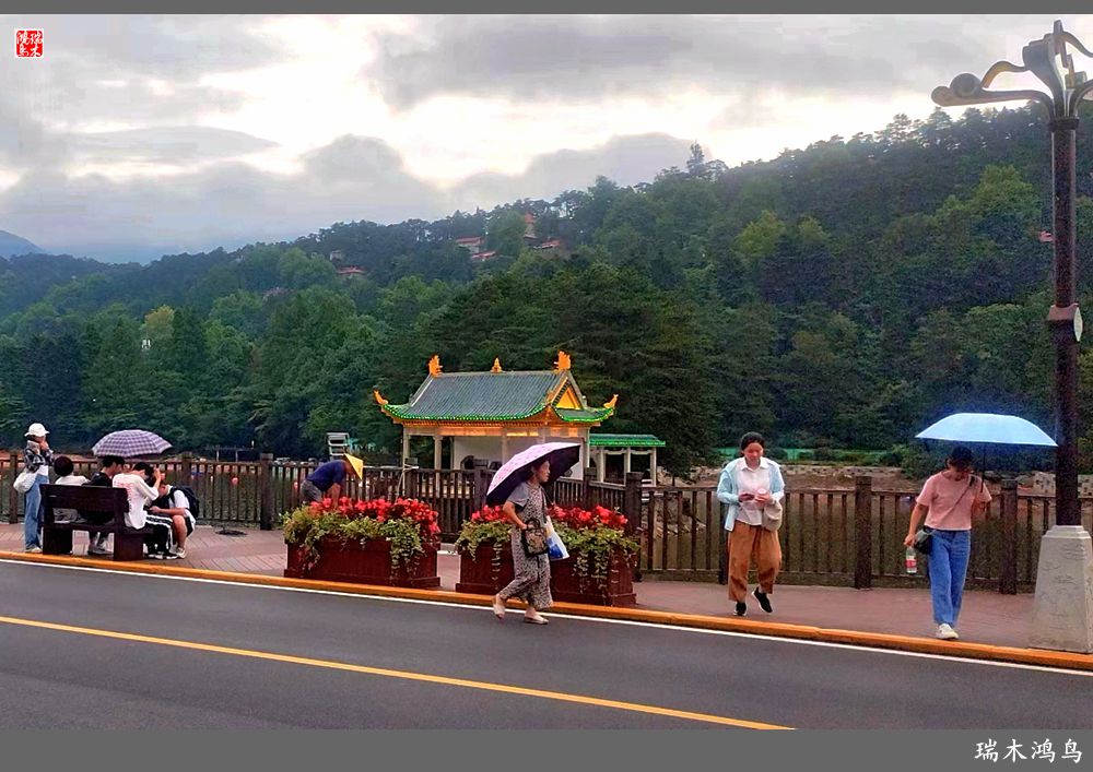 【微服私访下江南】金爷登庐山-中关村在线摄影论坛