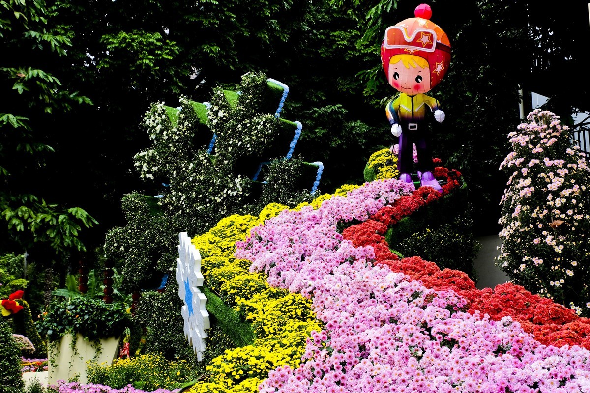 63届羊城菊會-中关村在线摄影论坛