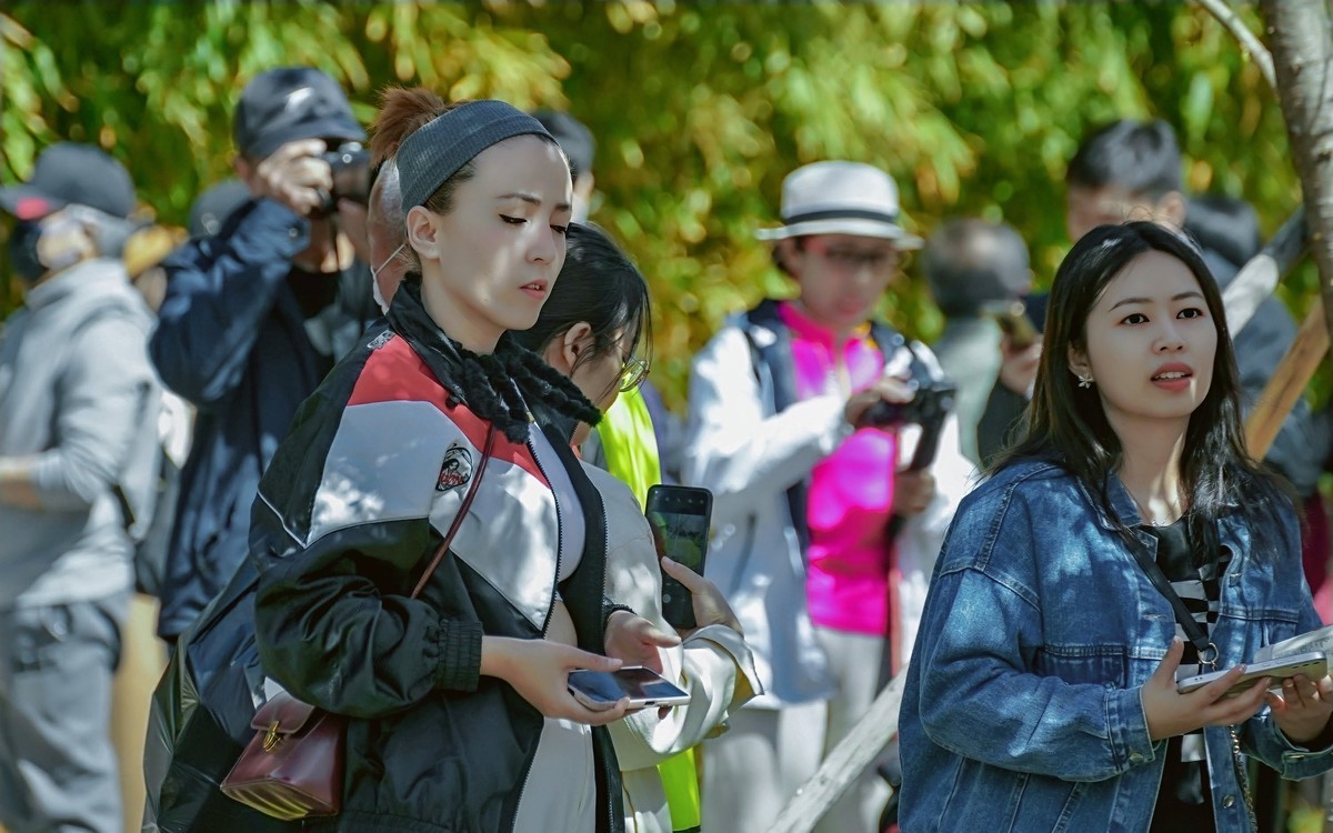 春游玉渊潭20230327 《11》-中关村在线摄影论坛