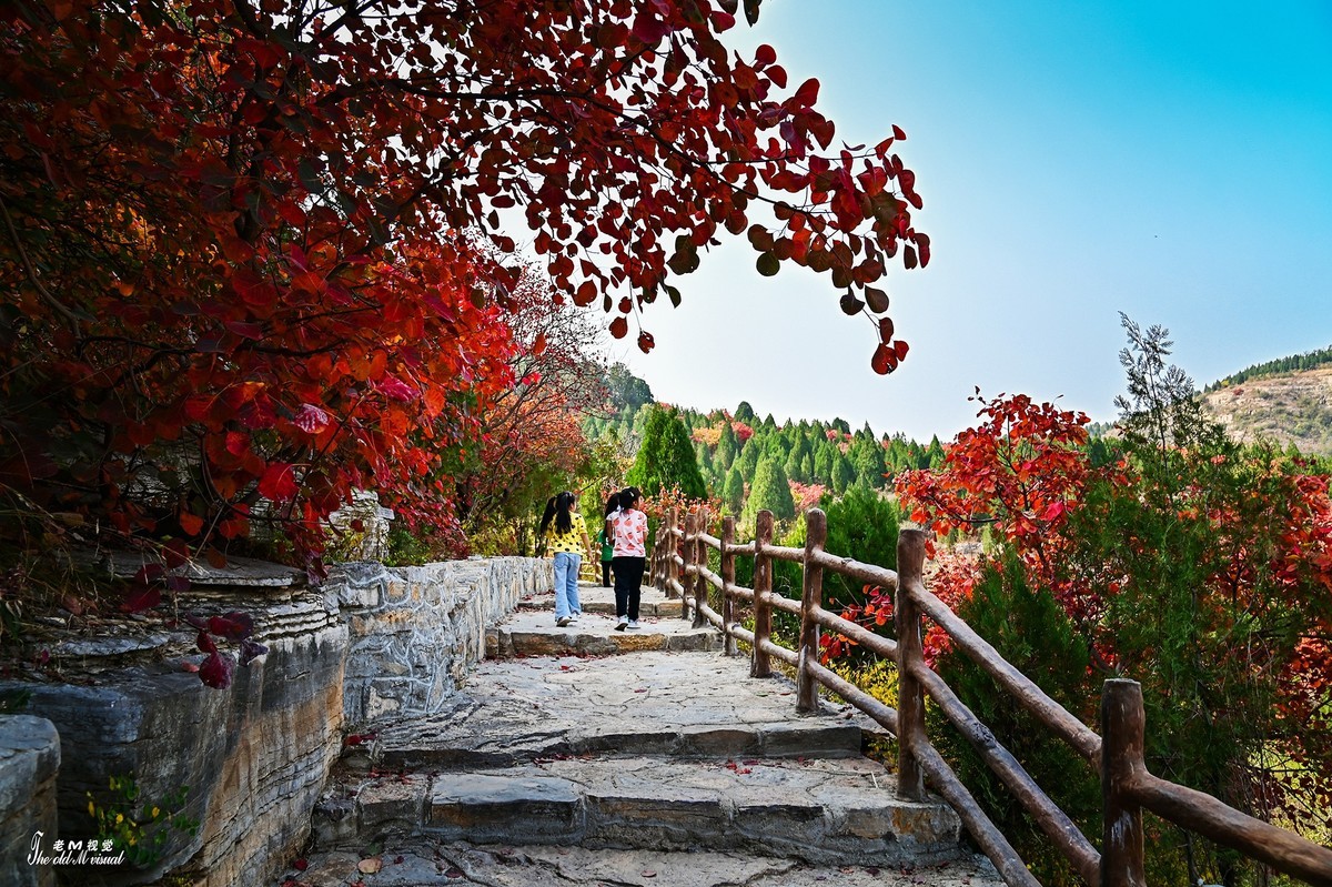 户外登山随拍-中关村在线摄影论坛