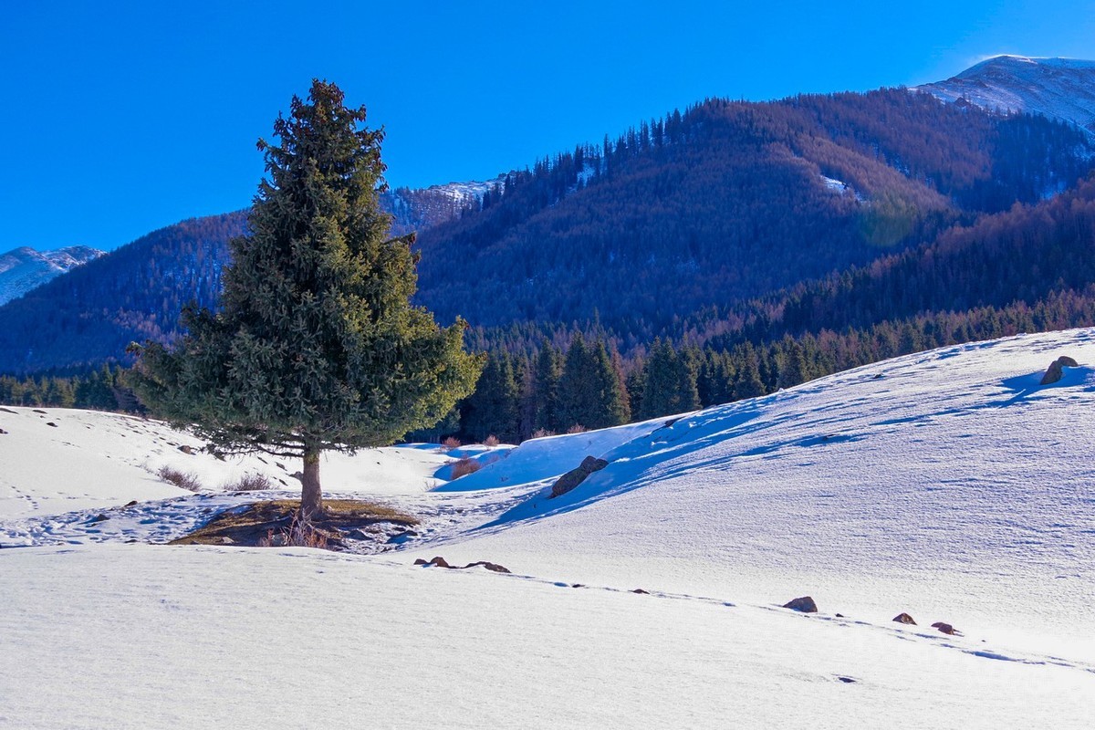 新疆——巴里坤——天山北麓（下）-中关村在线摄影论坛