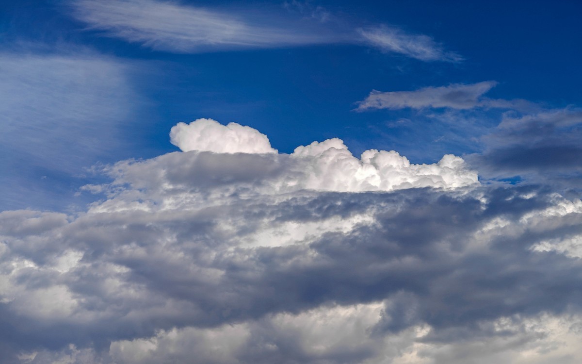 手机随拍20230707《84》-中关村在线摄影论坛